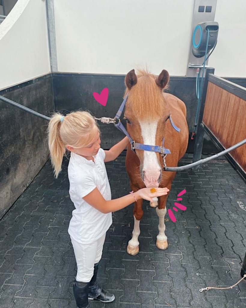 Snacks Cheval – Packaging personnalisé à l’effigie de votre animal ! 📸 ...